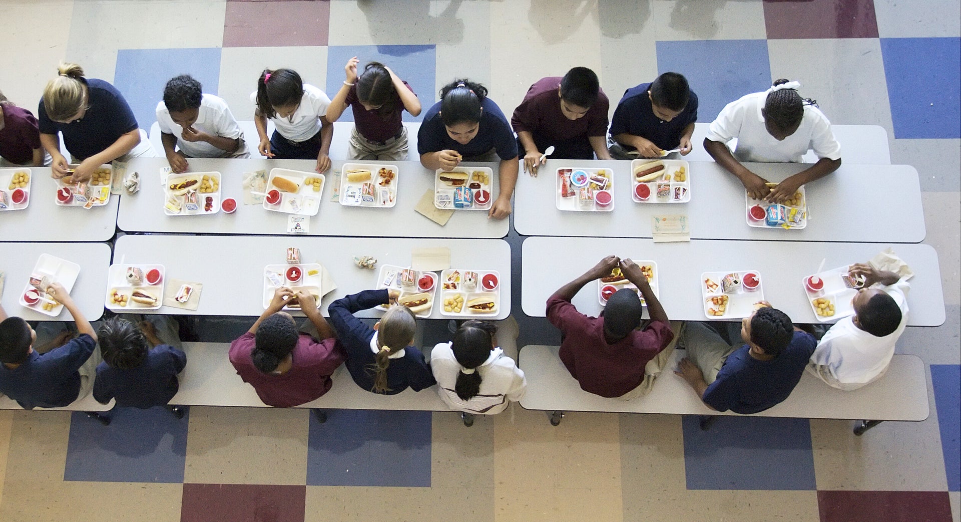 School Trays – Responsible Products